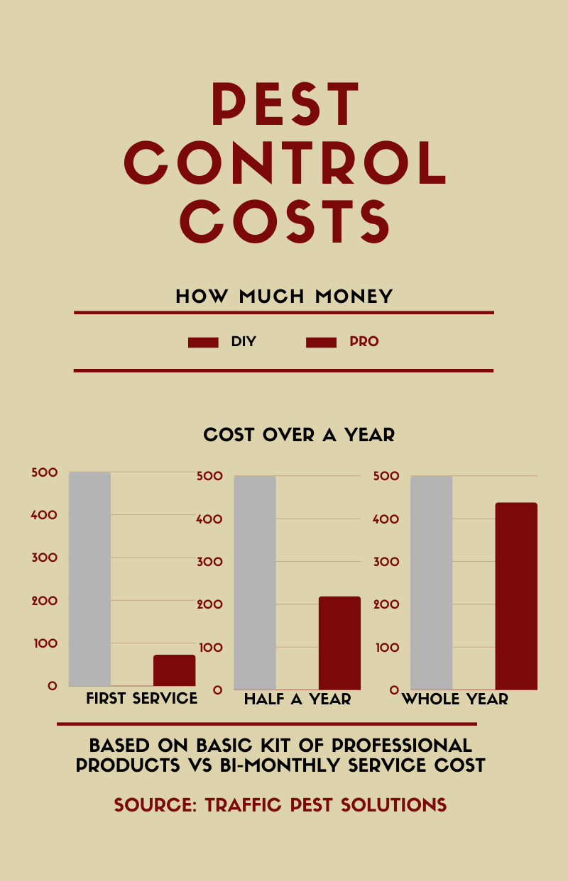 Why Year-Round Residential Pest Control is the Smartest Move